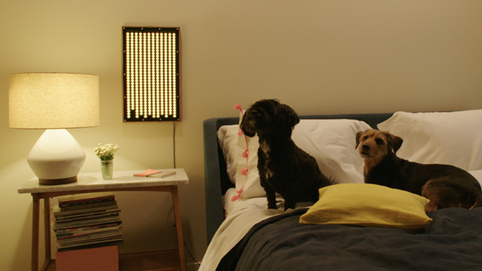 Every Day Calendar - 임볼든(IMBOLDN)